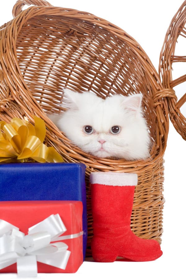 Caucasian Vesslor Rymd älsklings- Kvinna Fotografering för Bildbyråer ...