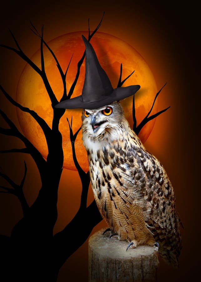 Búho De Halloween Con El Sombrero Imagen de archivo - Imagen de negro ...