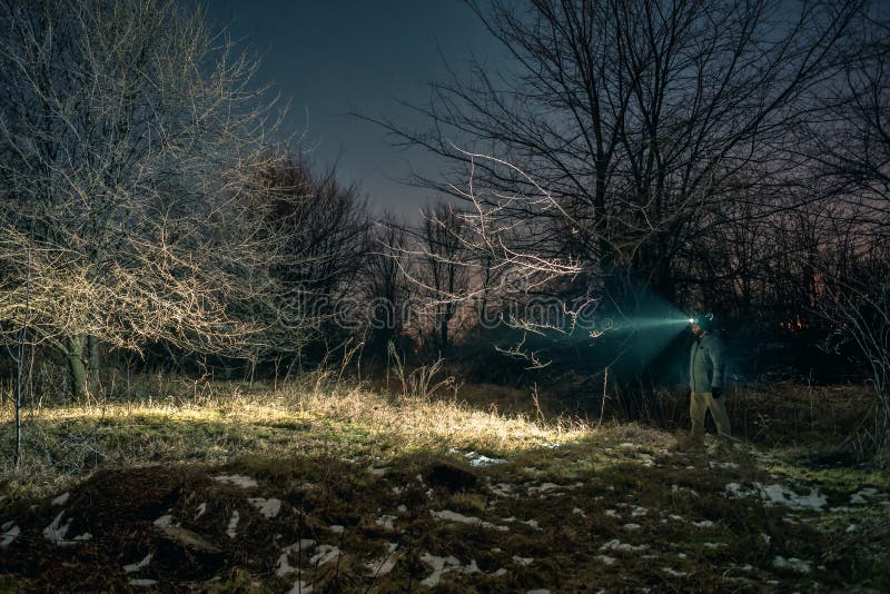 Hombre Con La Linterna En Bosque Imagen de archivo - Imagen de bosque ...