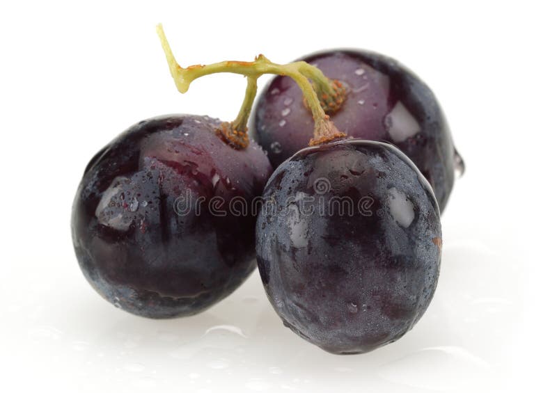 Einzelne Traube Lokalisiert Auf Dem Weißen Hintergrund Stockfoto - Bild ...