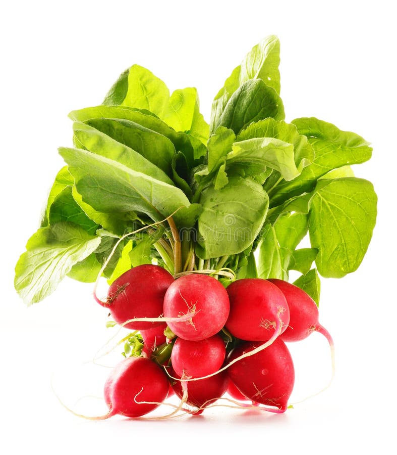 Rettich Auf Weißem Hintergrund Stockfoto - Bild von hintergrund, stamm ...