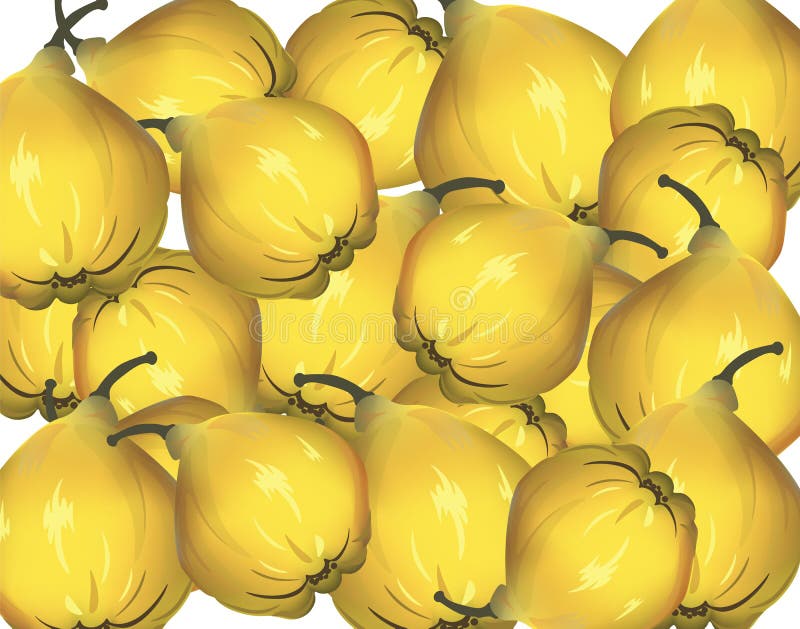 Quitten Stock Illustrationen, Vektoren, & Kliparts - 146 Stock ...