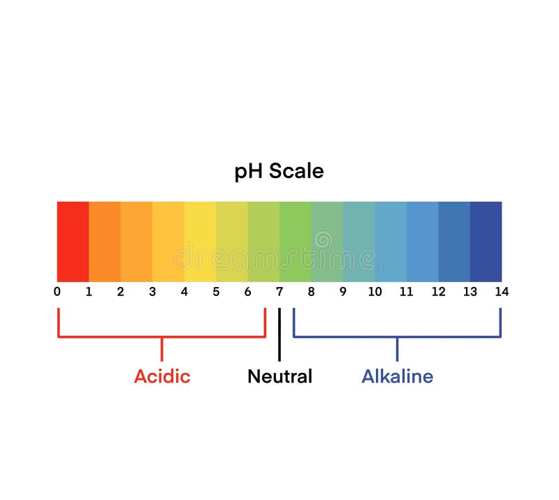 Ph Scale Diagram, Ph Scale Vector Graphic, Acid To Base Stock ...