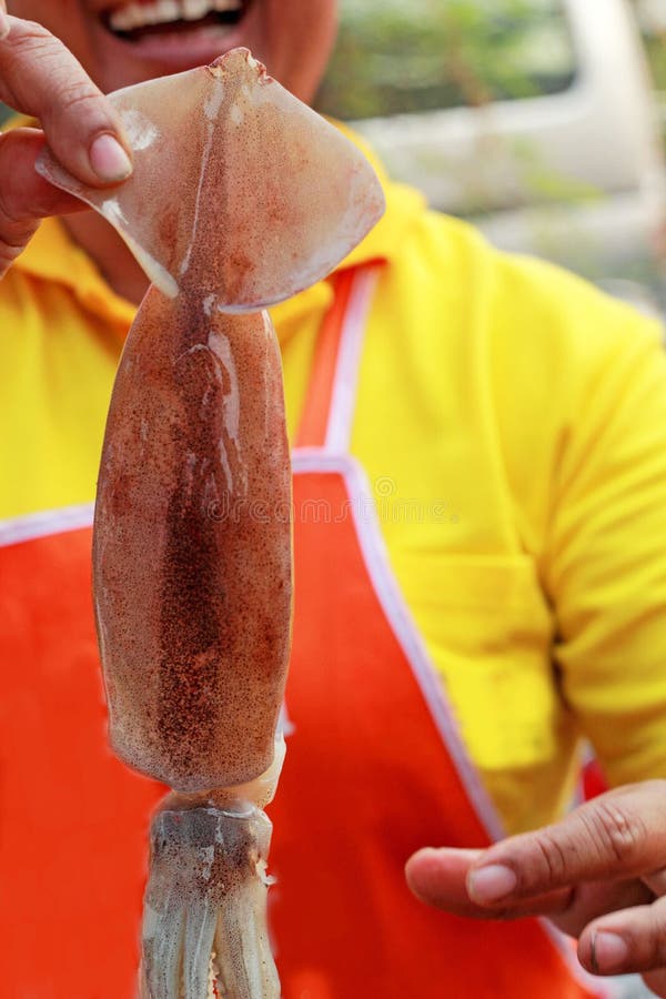 B-B-Q Grilled Squid in the Market Stock Photo - Image of restaurant ...