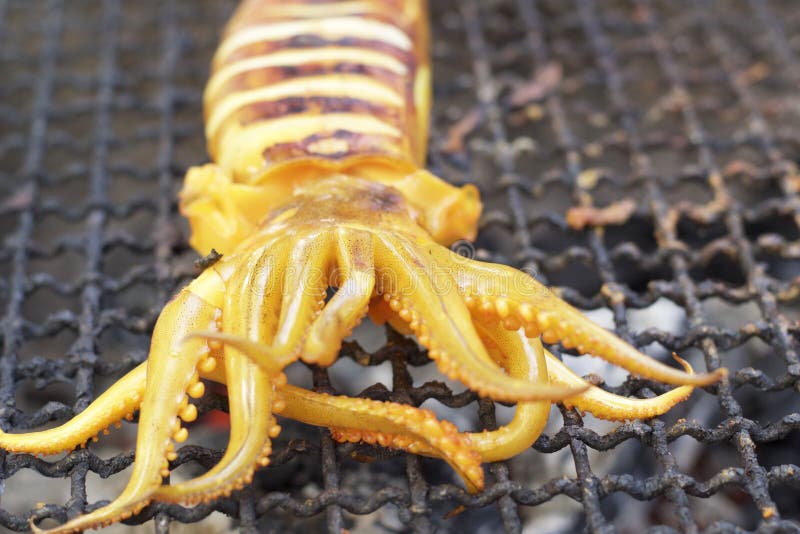 B-B-Q Grilled Squid stock photo. Image of healthy, lunch - 49163956