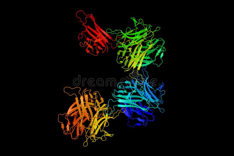 Tumor Necrosis Factor (TNF, Cachexin, Cachectin) Protein Stock ...