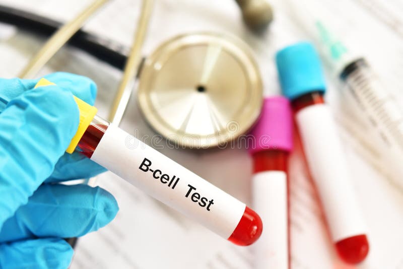 B lymfocyten of B-cellen stock foto. Image of laboratorium - 159849334