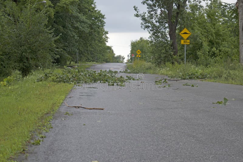 B Ranches Blocking the Road after a Large Storm Stock Image - Image of ...