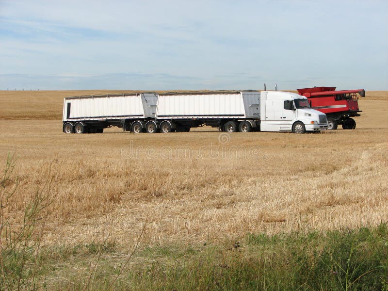 B-Train Big Truck and Combine in Field Stock Image - Image of drop ...