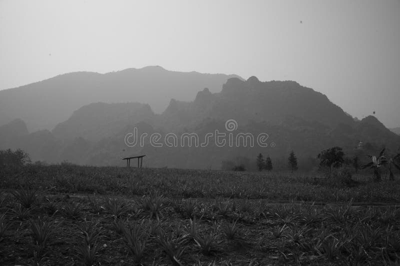 B&W Landscape Mountain Scenery Stock Image - Image of monotone ...