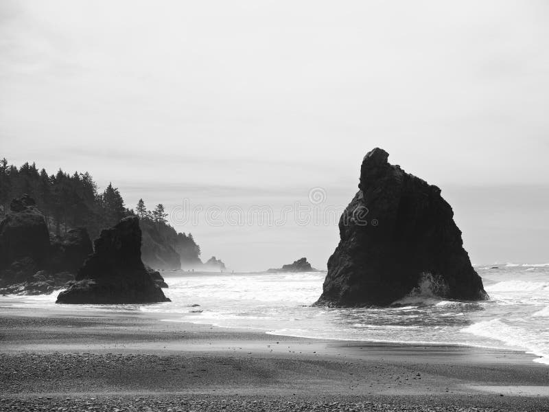 Black White Landscape Ruby Beach Washington Stock Photos - Free ...
