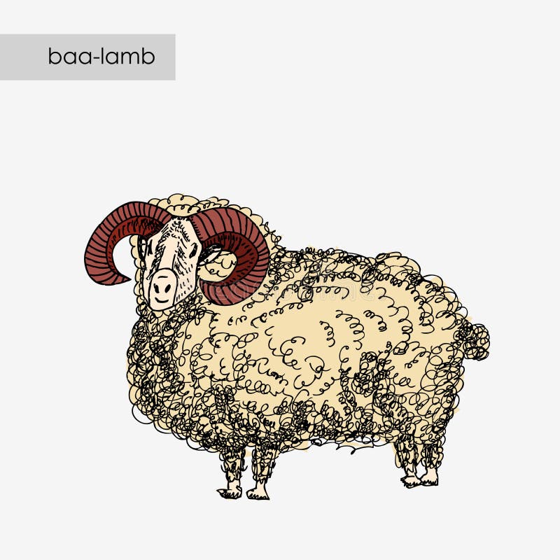 Baa-lamb stock vector. Illustration of knit, young, cute - 36982963