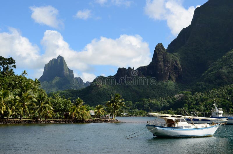 Baai in tropische Moorea stock afbeelding. Image of vreedzaam - 32397329