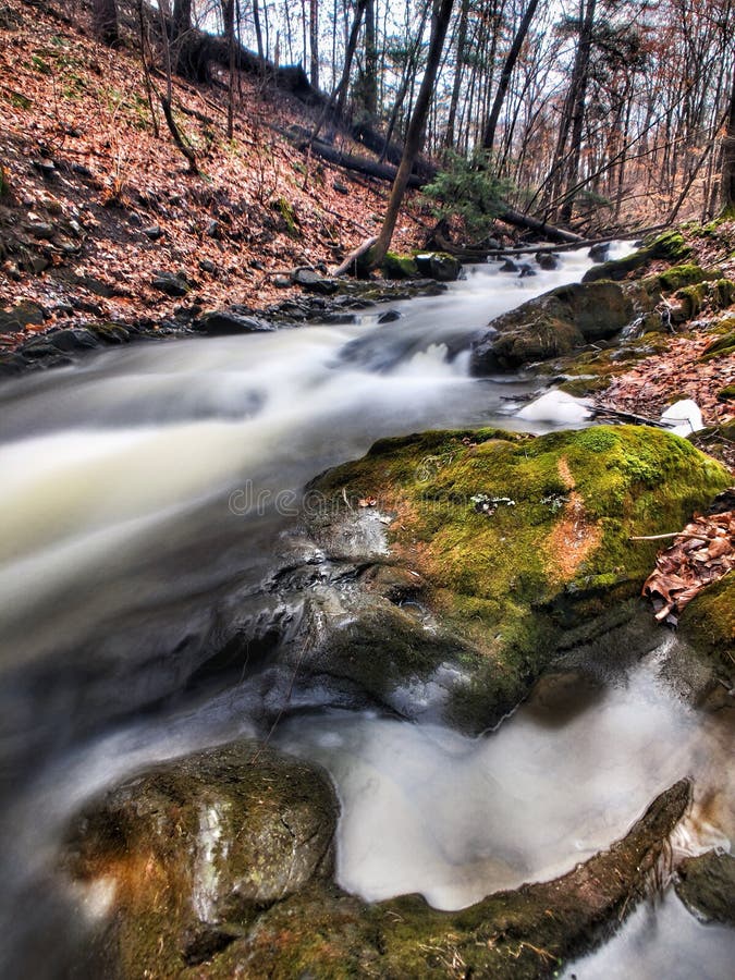 A babbling brook stock photo. Image of spring, overlooking - 110652736