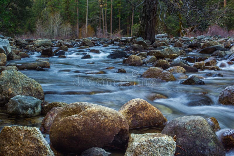 Babbling Brook stock photo. Image of rapids, babble, streambed - 50918264
