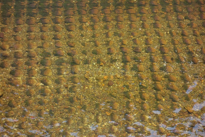 Babbling Brook, Water Surface Pattern Grunge Texture Background Stock ...