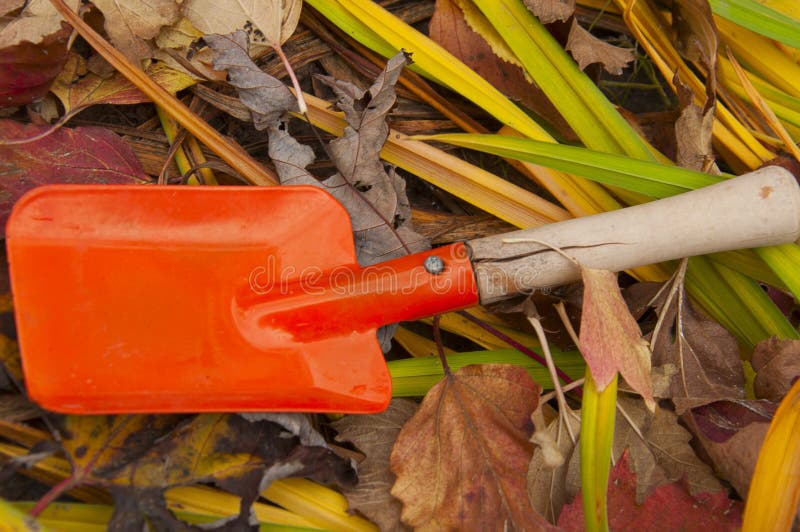 Babe Garden Spade in Orange Color Stock Image - Image of hobbies, fall ...