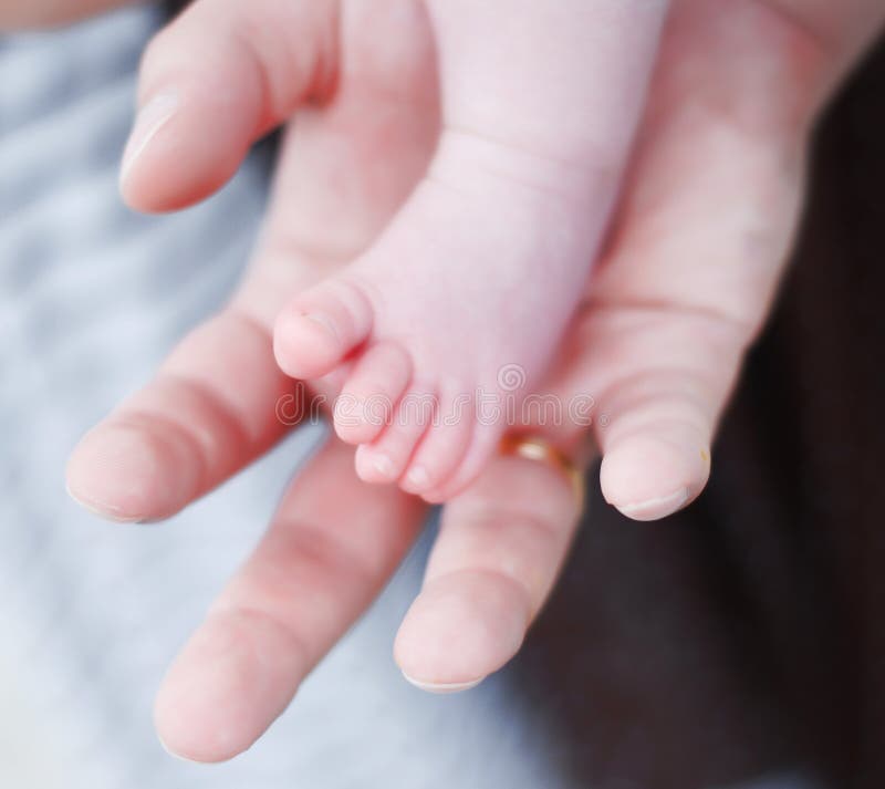 Babies Foot and Hand of Man Stock Photo - Image of protection ...