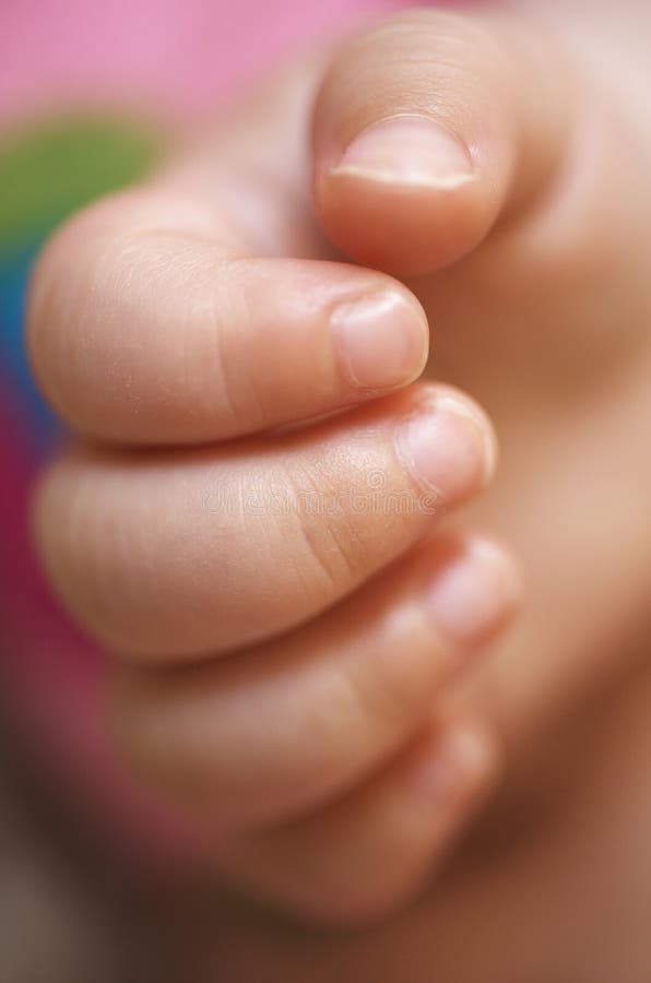 Babies hand stock photo. Image of child, baby, finger - 6884148