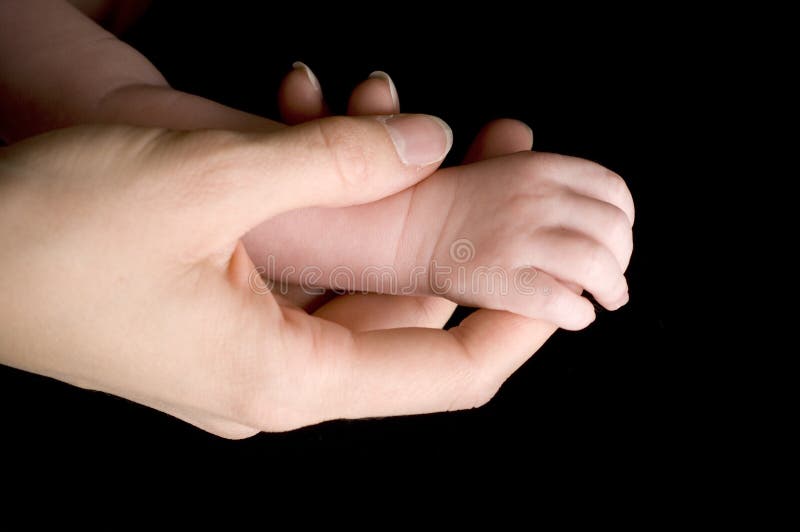 Babies Hand stock image. Image of baby, child, babyhand - 50636315