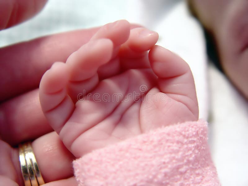 Baby s Little Hand stock photo. Image of hand, exposed, infant - 37238