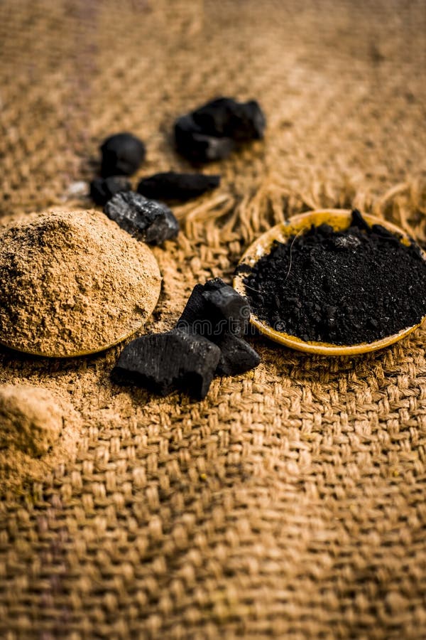 Babool Fruit,Vachellia Nilotica or Gum Arabic Tree with Coal and Its ...