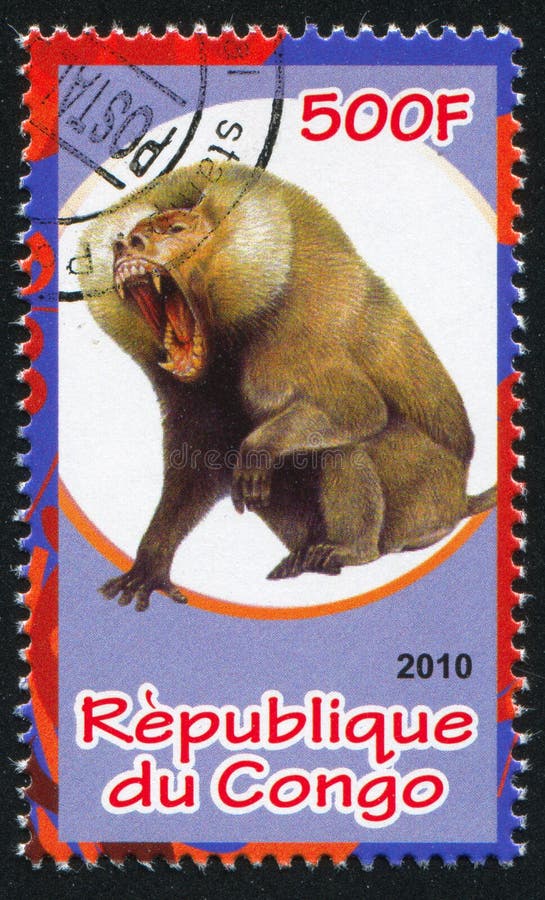 Baboon editorial photography. Image of coat, biology - 321965847