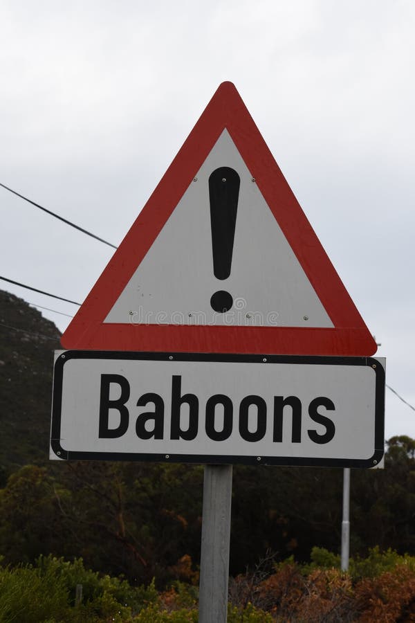 Baboons sign stock image. Image of monkey, bush, national - 26160801