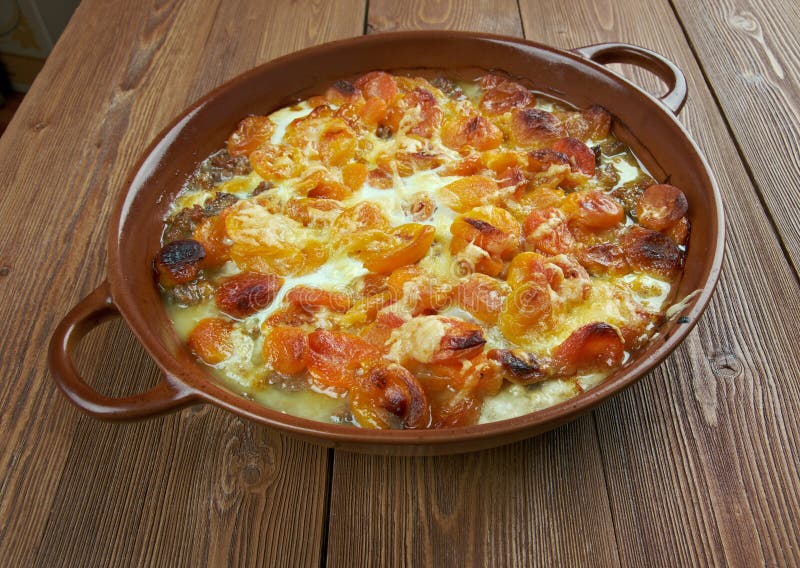 Congo African Grey Parrot stock image. Image of parrot - 3807127