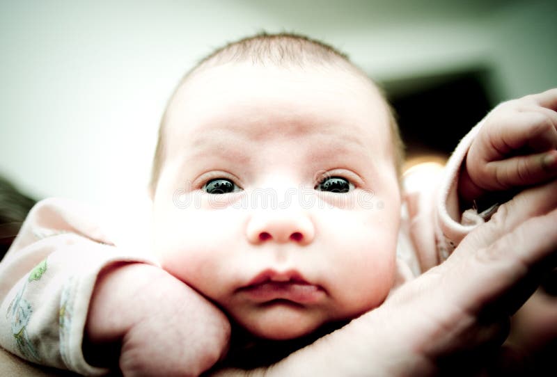 Baby stock photo. Image of newborn, parents, babies, baby - 67086
