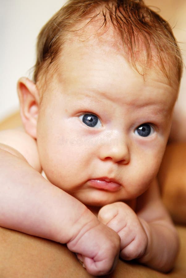 Baby stock photo. Image of small, looking, baby, infant - 4478242