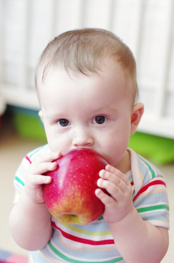 Baby Age of 7 Months Eats Apple Stock Image - Image of fruit, lunch ...