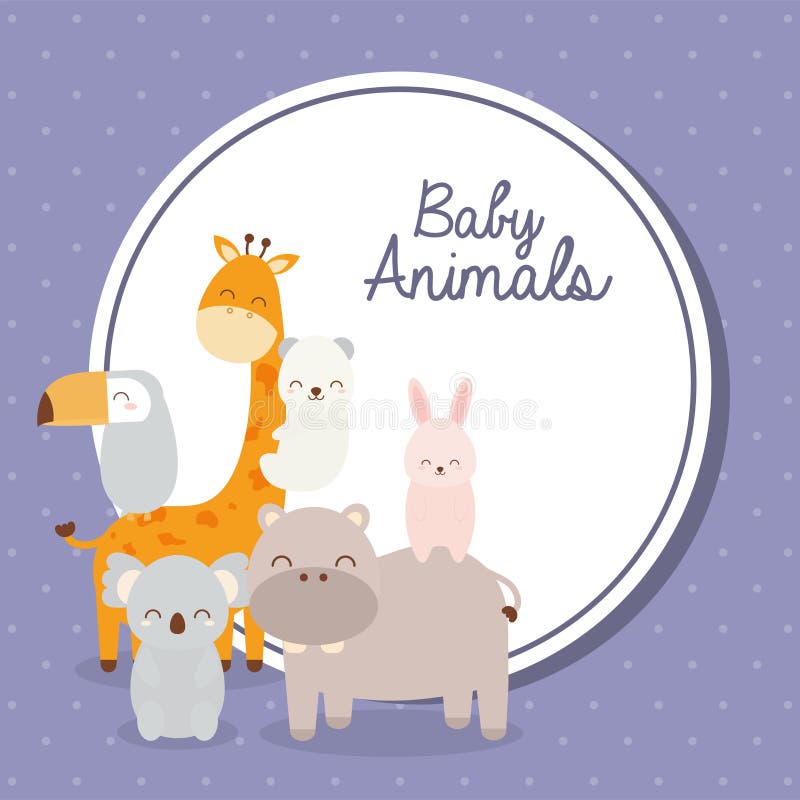 Baby animlas poster stock vector. Illustration of cute - 216646970