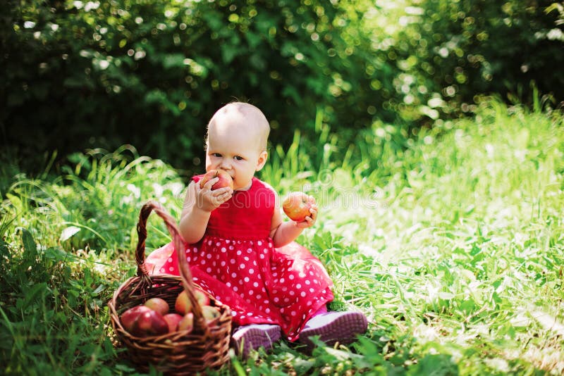 Baby. stock image. Image of eating, basket, baby, sitting - 41861195