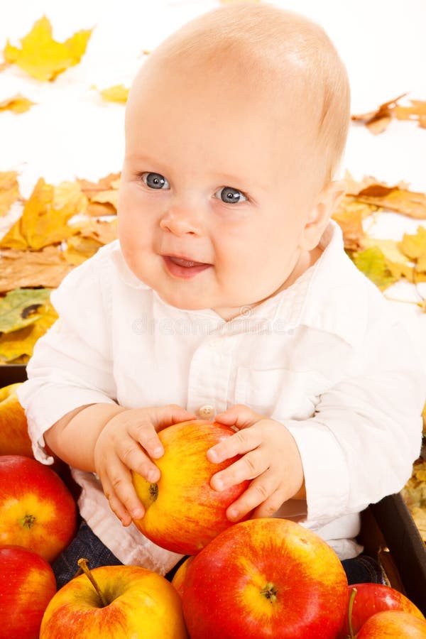 Fall Baby Cornucopia stock image. Image of horn, avocado - 27750511