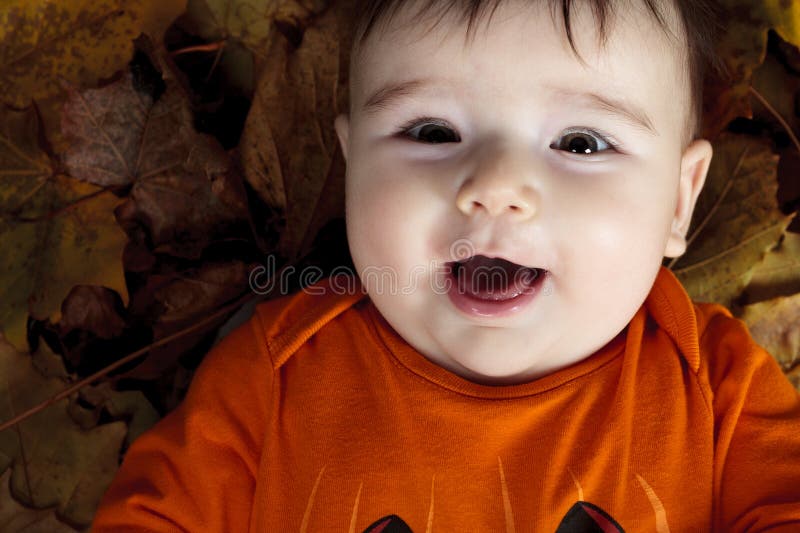 Baby autumn leaf stock photo. Image of nature, cute, offspring - 46741162