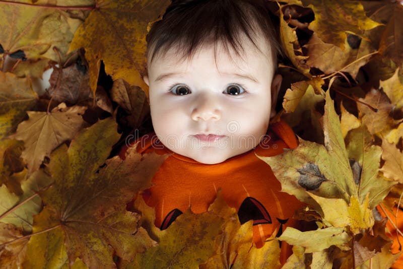 Baby autumn leaf stock photo. Image of leaf, halloween - 46741168