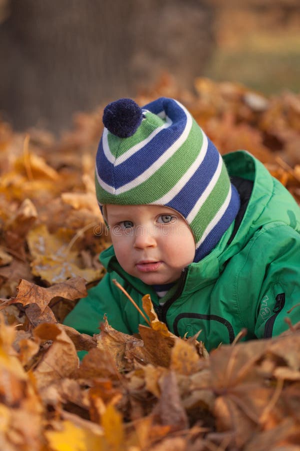 Baby in autumn leaves stock image. Image of outside, cheerful - 26802995