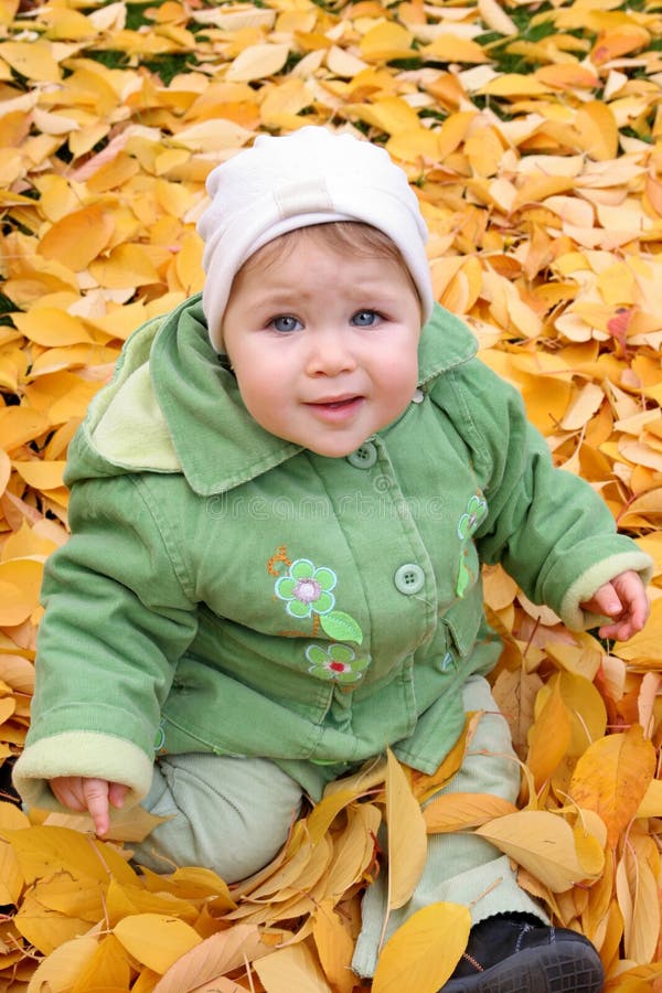 Baby in autumn leaves stock photo. Image of happy, nose - 3539310