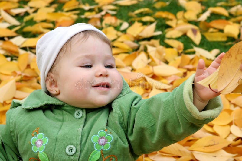 Baby in autumn leaves stock image. Image of cheerful, infant - 3539495