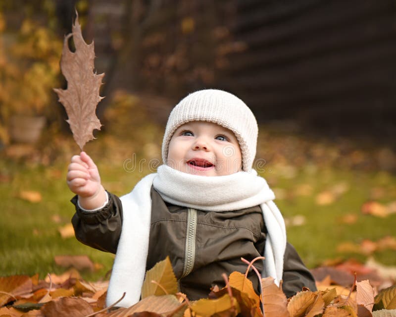 A baby in autumn leaves stock image. Image of garden - 261892445