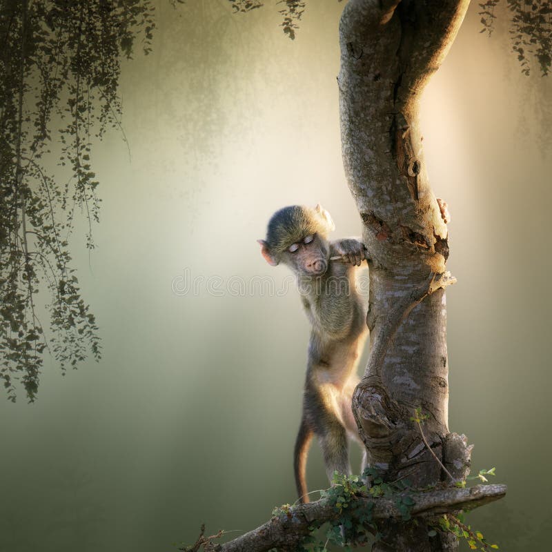 Baby Baboon in tree stock image. Image of green, africa - 75637355