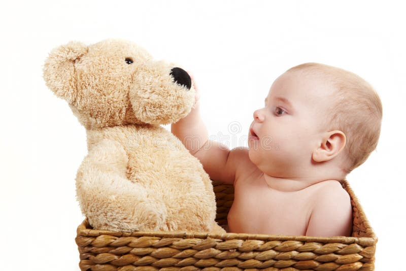 Baby in Backet with Big Bear Stock Photo - Image of pink, isolation ...
