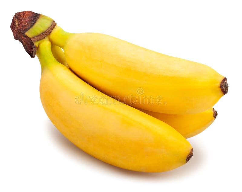 Baby banana stock image. Image of bright, single, vivid - 146716751