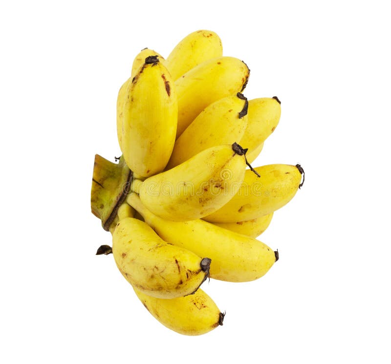 Baby Bananas Isolated on White Background Stock Image - Image of ...