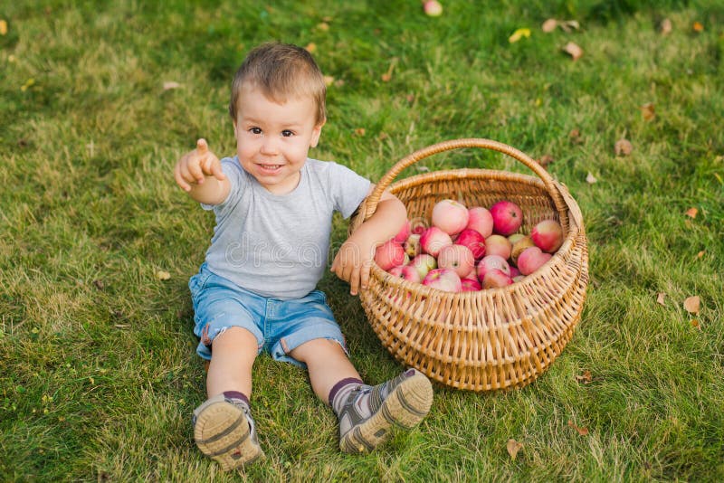 Baby with a Basket of Red Apples Stock Image - Image of casual ...