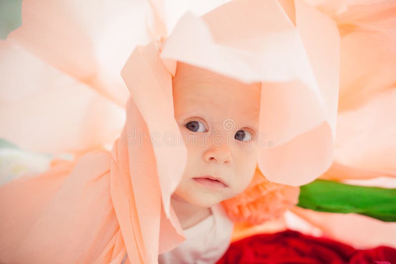Baby on the Bed in a Paper Flower Stock Image - Image of girl, fashion ...