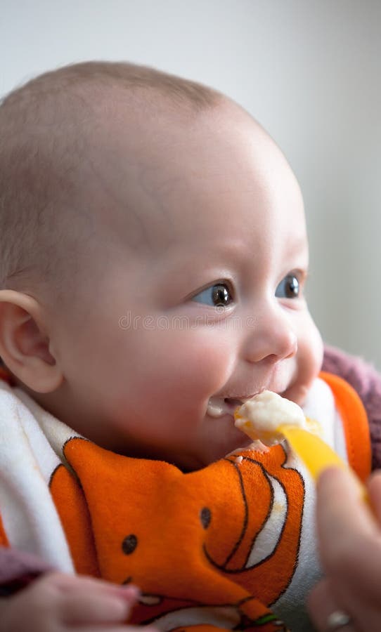 A baby being fed stock image. Image of happy, calm, healthy - 22904963
