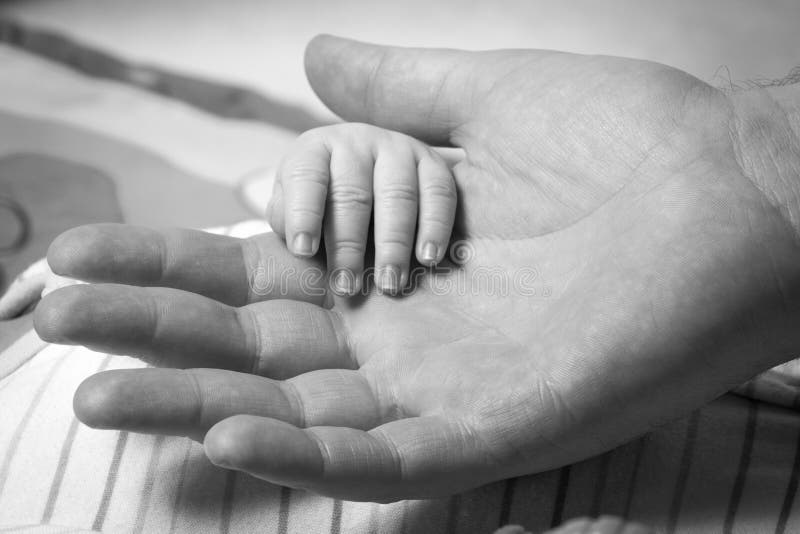 Babyhandgriff-Mannesfinger Kleine Hand Vatertagskonzept Es Ist so Klein ...