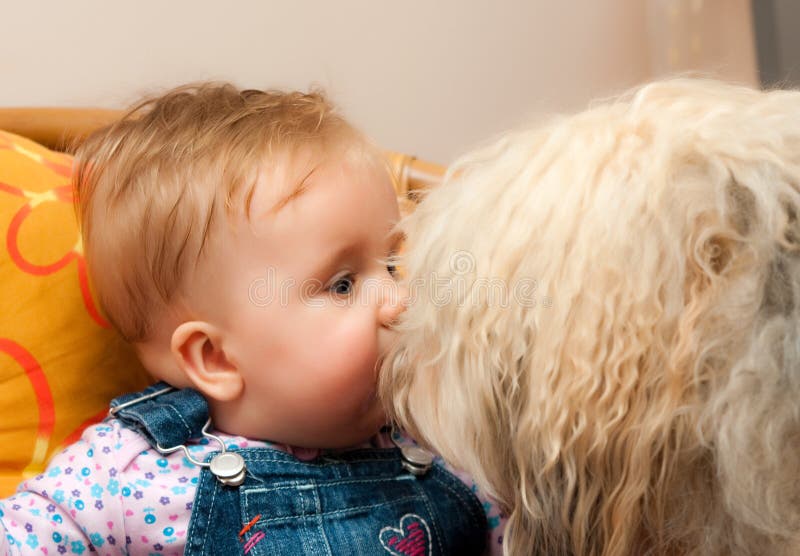 Baby with big dog stock photo. Image of scene, large - 16484692